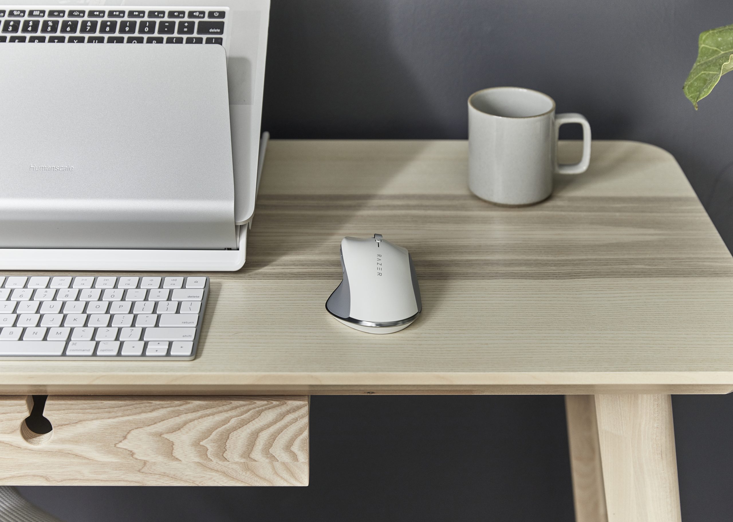 Guide to Ergonomic Monitor, Keyboard, and Mouse for Worksetup