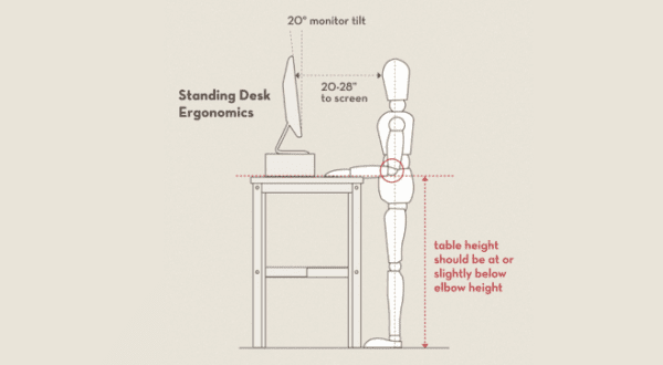 Standing Desk Ergonomics: How to Use a Standing Desk Correctly?